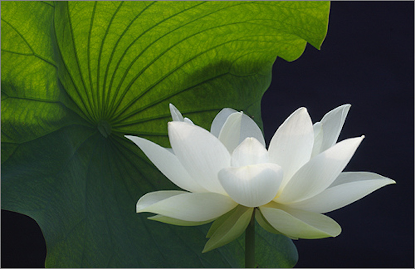 The Essence Of Tipiṭaka - 3. What Is Suttanta Piṭaka?